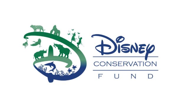 Disney Conservation Fund Announces 2018 Conservation Grants | The Walt ...