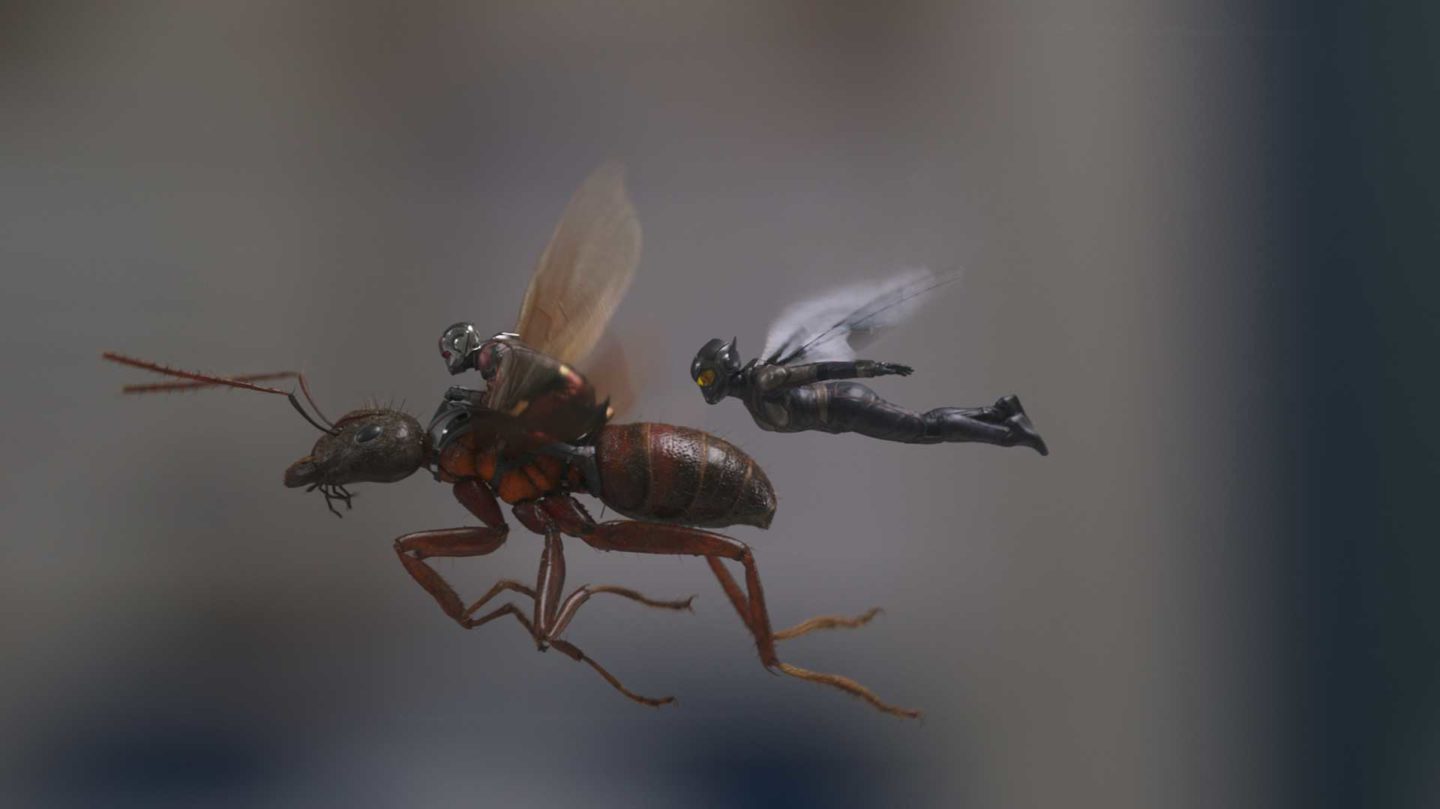 Marvel Studios’ 'Ant-Man and The Wasp'—New Trailer Debuts | The Walt ...