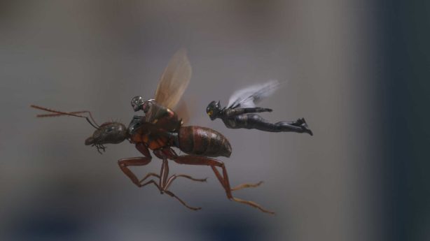 Marvel Studios’ 'Ant-Man and The Wasp'—New Trailer Debuts | The Walt ...