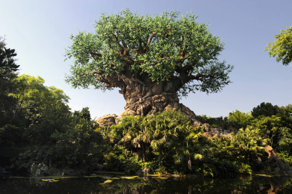 Disney Expands Environmental Commitment By Reducing Plastic Waste - The ...