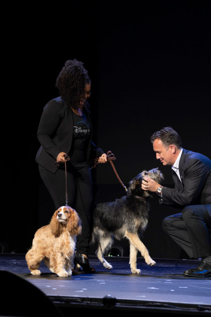 Disney+ Announces Six New Titles, Showcases Upcoming Slate of Original ...