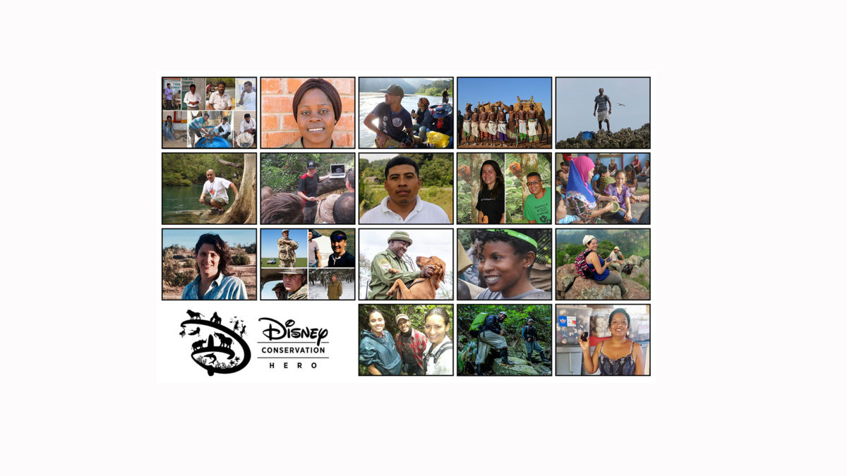 Disney Conservation Fund Celebrates its 2019 Heroes | The Walt Disney ...