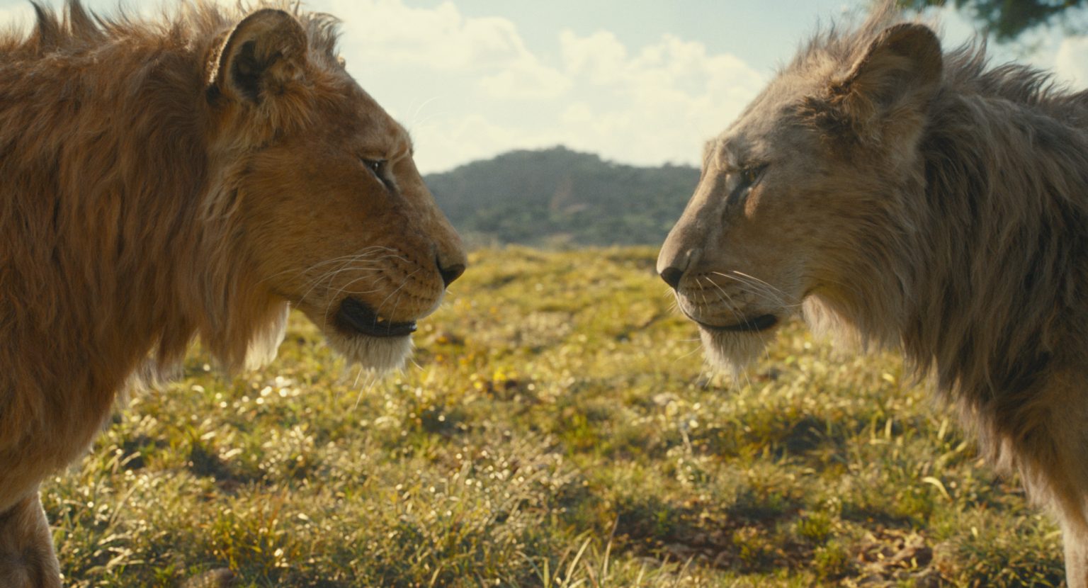 Director Barry Jenkins on 'Mufasa: The Lion King' - The Walt Disney Company