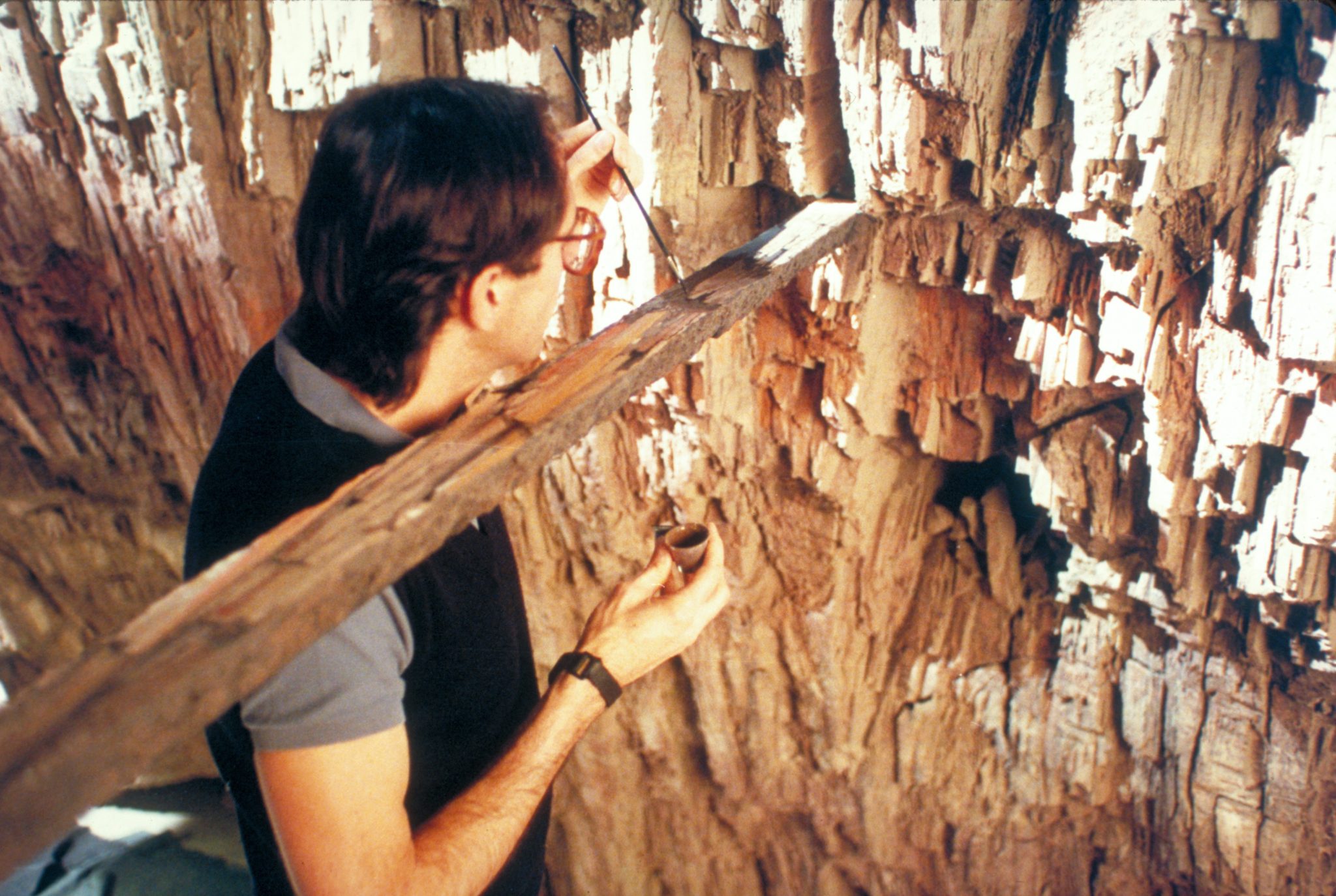 ILM Turns 50: How the Visual Effects Company Continues to Transform the ...