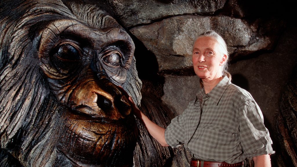 Remembering Dr. Jane Goodall | The Walt Disney Company