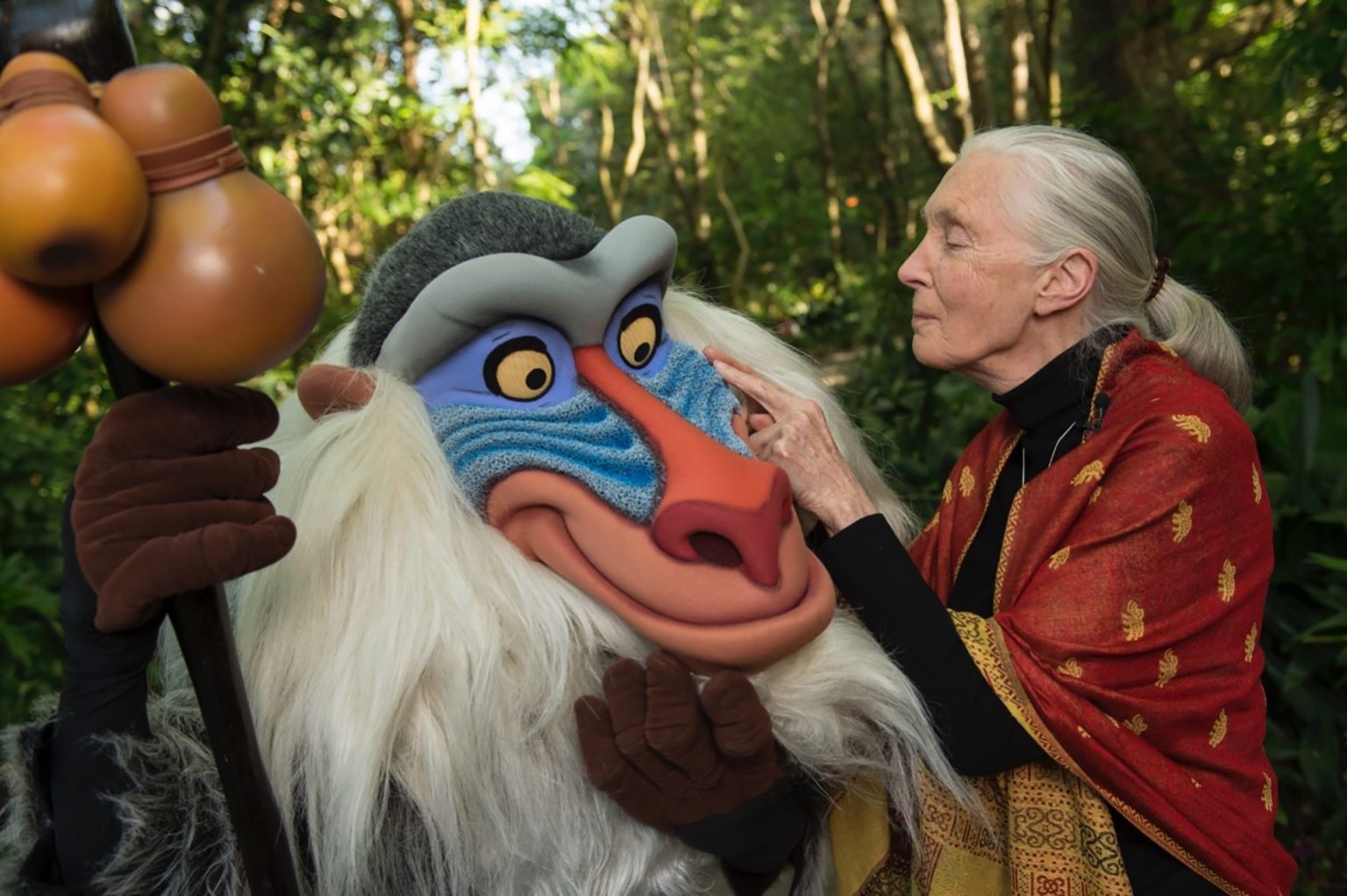 Remembering Dr. Jane Goodall | The Walt Disney Company