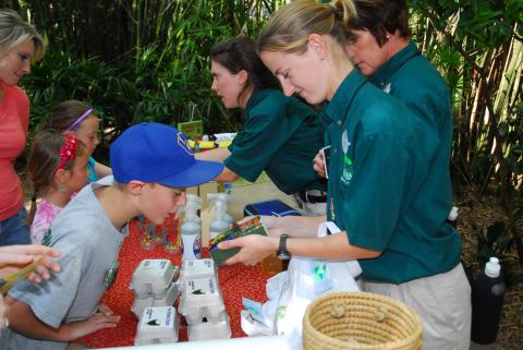 Celebrating Earth Month at Walt Disney Parks and Resorts - The Walt ...